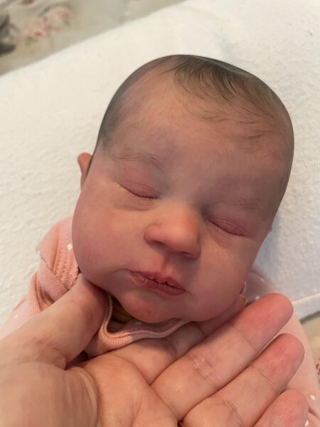 Pink Peony by Pink peony of Trisha Myers - reborns.com