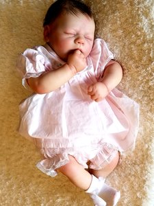 Gingerbread Babies - Reborns and Reborn Baby Dolls