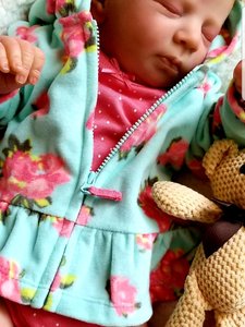 Gingerbread Babies - Reborns and Reborn Baby Dolls