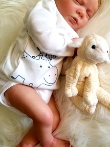 Gingerbread Babies - Reborns and Reborn Baby Dolls