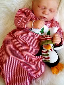 Gingerbread Babies - Reborns and Reborn Baby Dolls