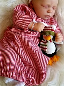 Gingerbread Babies - Reborns and Reborn Baby Dolls