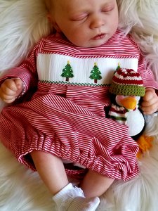 Gingerbread Babies - Reborns and Reborn Baby Dolls