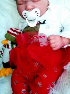 Gingerbread Babies - Reborns and Reborn Baby Dolls