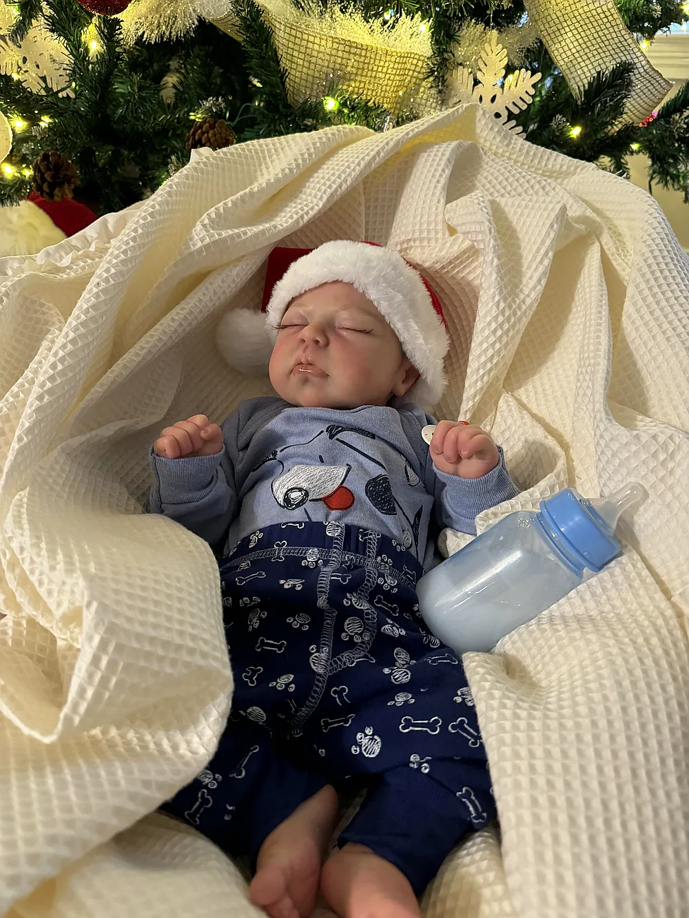 Theodor pre-owned reborn doll by Donna Rich | Cherish N Comfort reborn ...