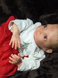 Bumkins & Pumkins - Reborns and Reborn Baby Dolls