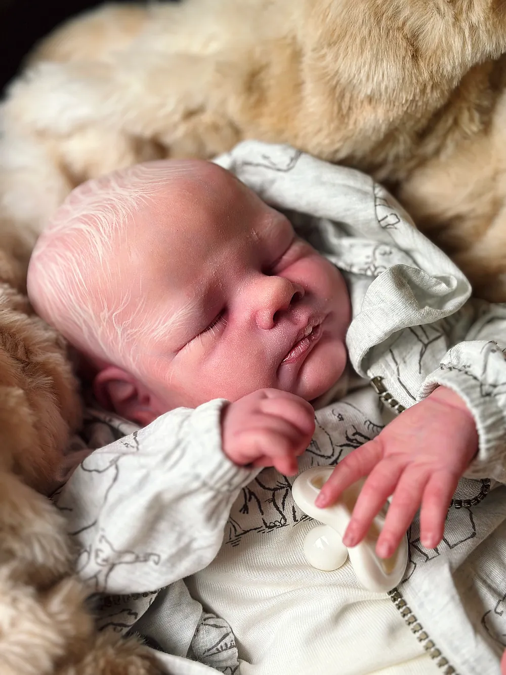 Patrick by Tammy Annette from Paper City Dolls on Reborns