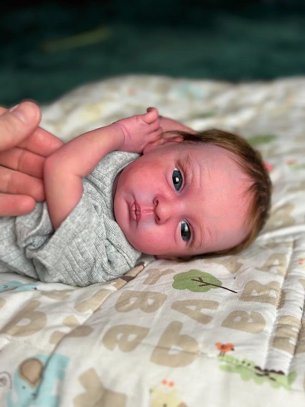 Maitte reborn doll by Tammy Annette | Paper City Dolls