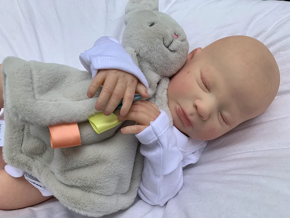 by Barb Wilson from Barb's Baby Dolls on Reborns