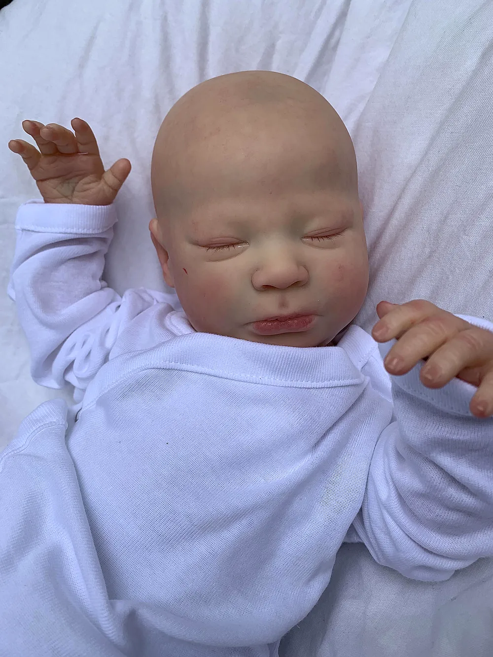 by Barb Wilson from Barb's Baby Dolls on Reborns