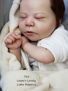 Andy by Jennifer Lesser from The Lesser's Lovely Little Reborns on Reborns