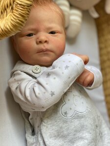 Reborn Dolls and Lifelike Baby Dolls