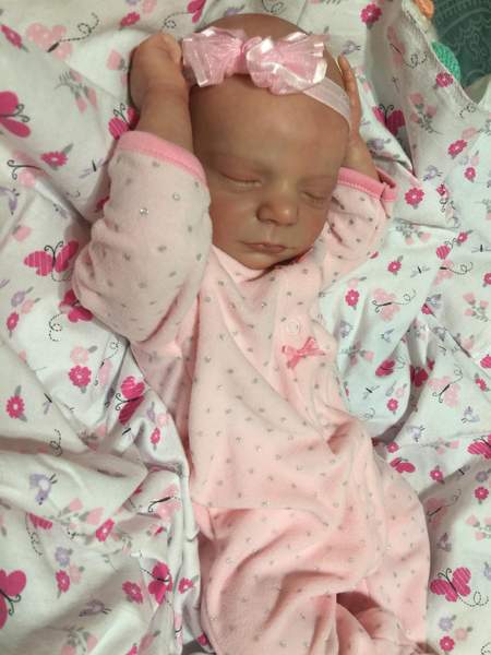 Baby Rex by Living Inspirations Nursery of Living Inspirations Reborn ...