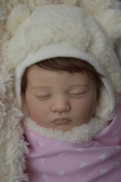 Baby Rex by Living Inspirations Nursery of Living Inspirations Reborn ...