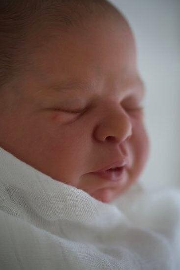 Ivy by Adriana de Simone from House of Babies on Reborns