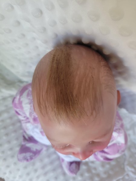Acorn by Kristyn McDermott from Lakeside Nursery on Reborns