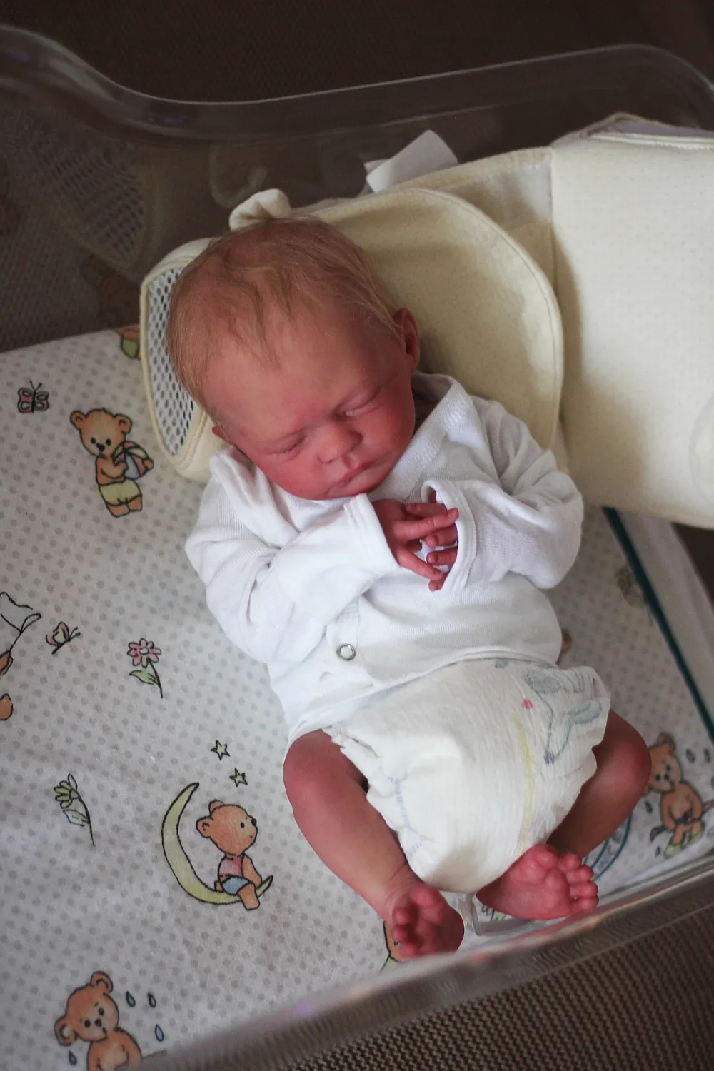 Bam Bam by Danielle Amelia from Babes in Arms Art Dolls on Reborns
