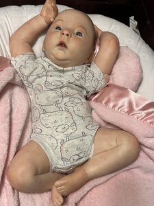 Reborn Dolls and Lifelike Baby Dolls
