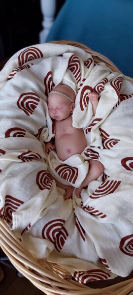 Luna by Ashley Ribeiro from Ashley's Lullaby Nursery on Reborns