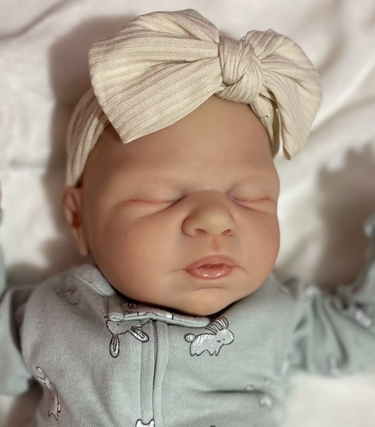 by Alexa Brooks from Busy Bee Nursery on Reborns