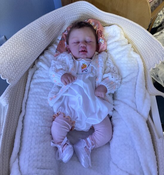 by Elie’s Enchanted Cradle from Lisa Kingston on Reborns