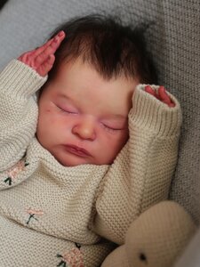 Emiliya Aredakova - Reborns and Reborn Baby Dolls