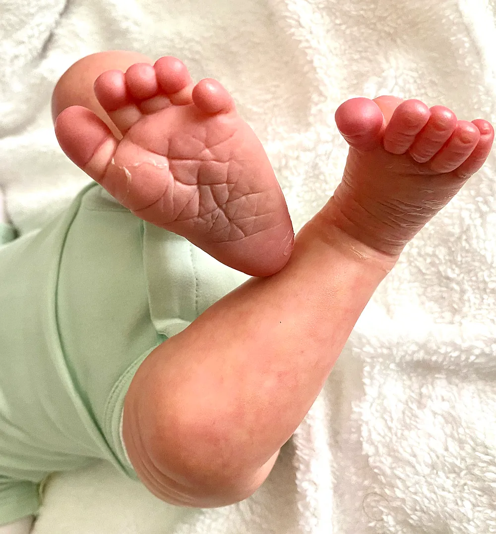 Nora by Lena Smith from Darling Art Babies on Reborns