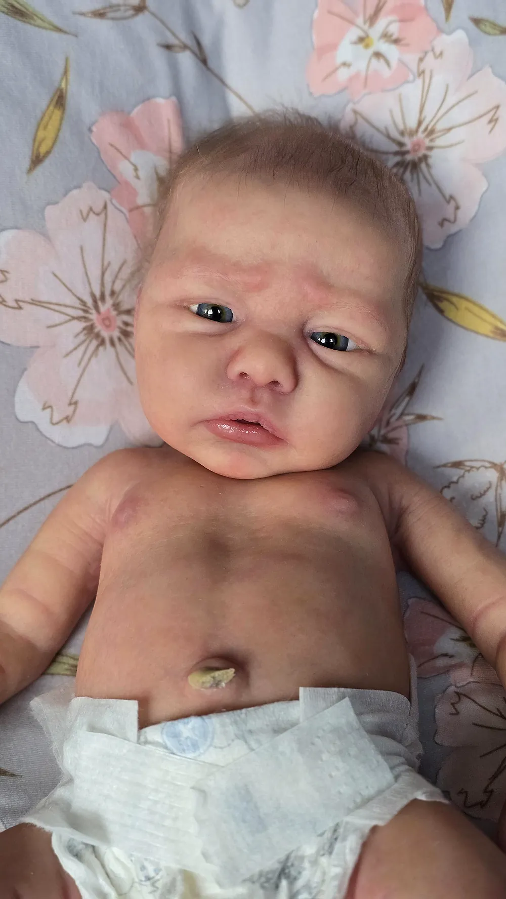 Bella Prototype Reborn Baby Doll by Kris C (the Dainty Loft) | Forever ...