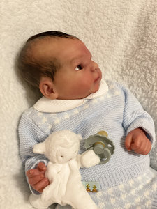 Reborn Dolls and Lifelike Baby Dolls
