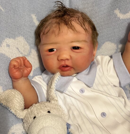 Freddy by Billie Kramer from Reborns by Billie on Reborns