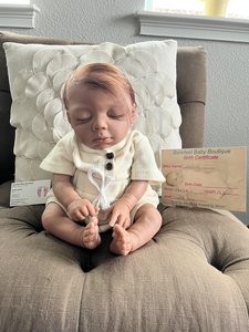 Reborn Dolls and Lifelike Baby Dolls