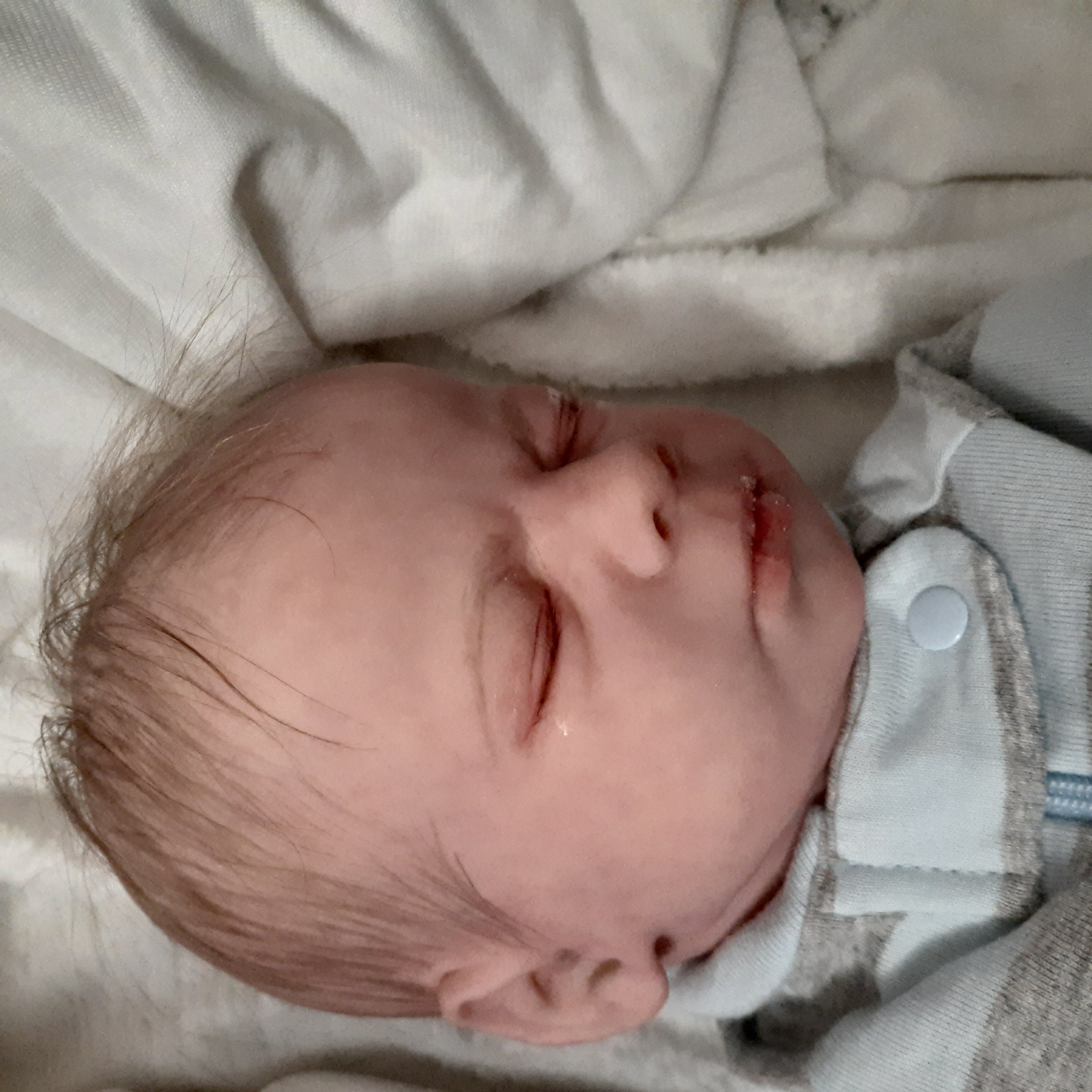 Clyde by Robin Coffin from Stardust Nursery Reborn Dolls on Reborns