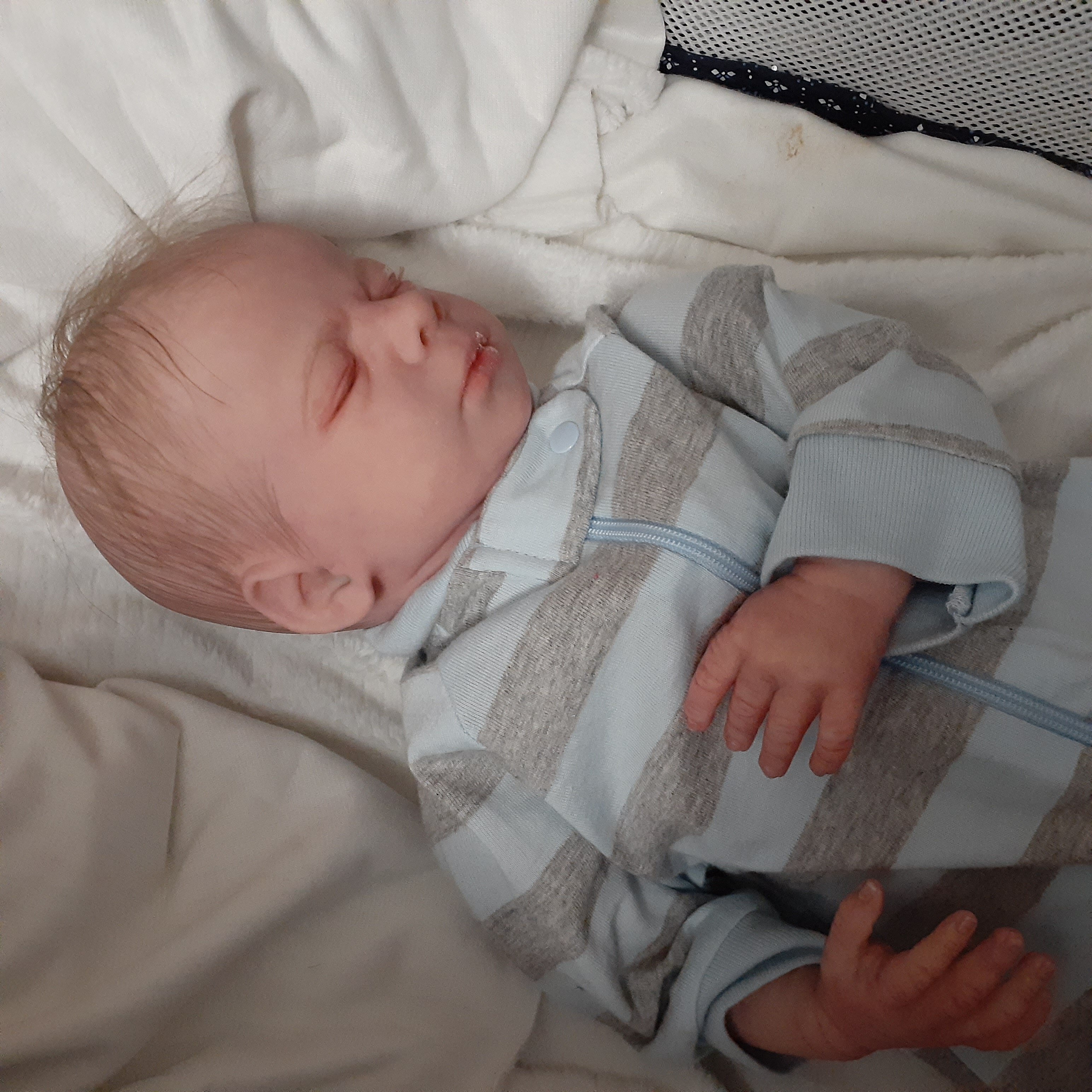 Clyde by Robin Coffin from Stardust Nursery Reborn Dolls on Reborns