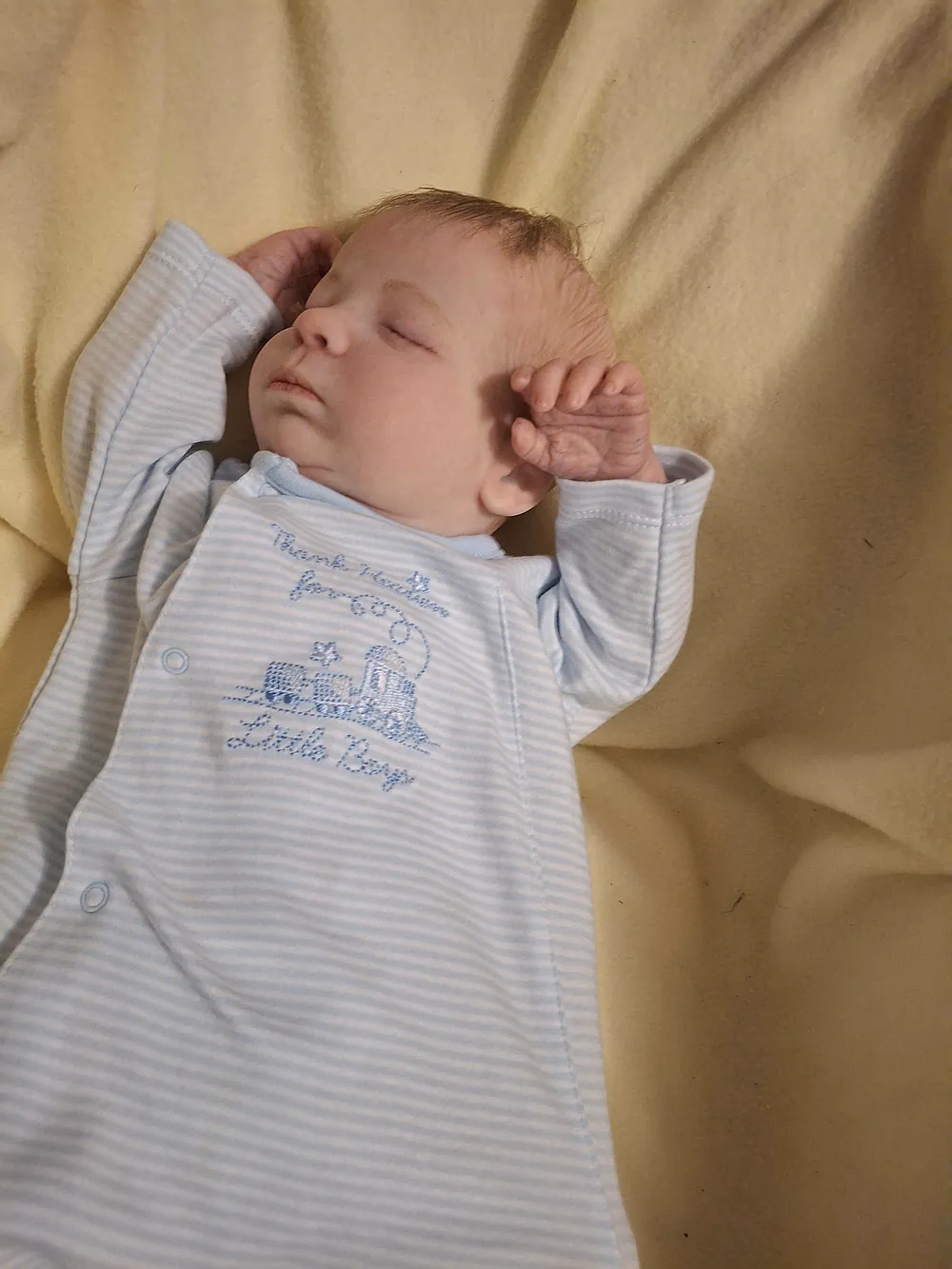 by Robin Coffin from Stardust Nursery Reborn Dolls on Reborns