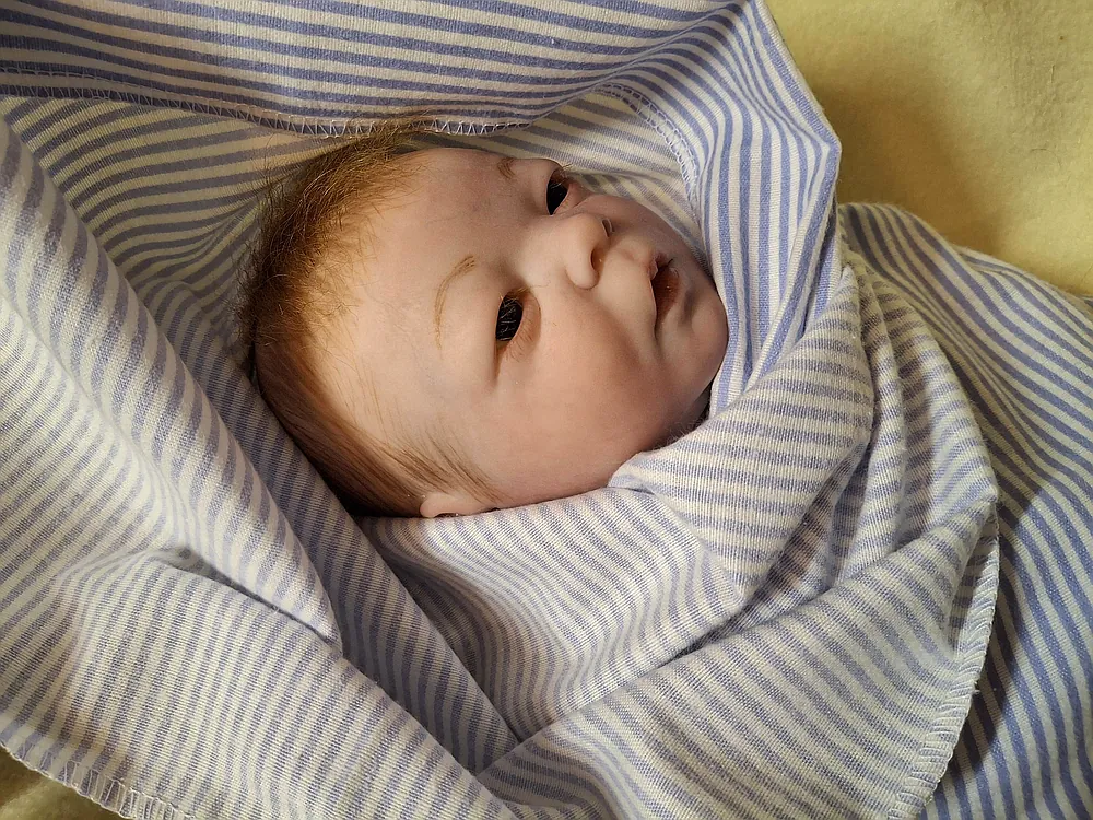 Darren Awake Layaway Reborn Baby Doll by Robin Coffin | Stardust ...