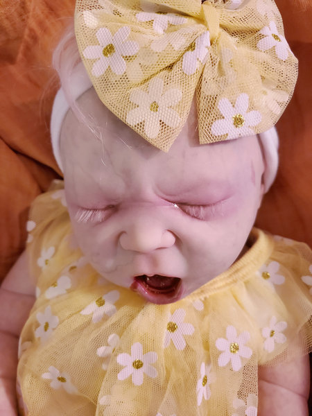 Maizy Daizy by Janet sullivan of Whales and Pigtails - reborns.com