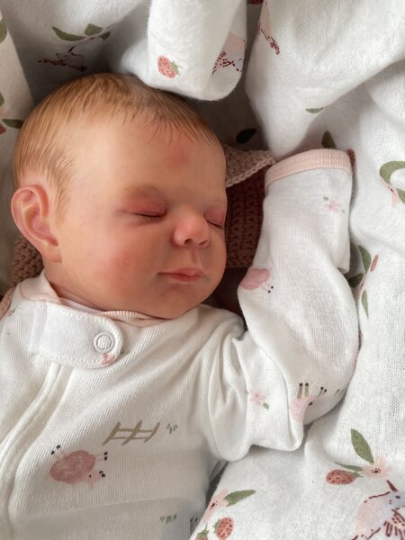 Elise by Sherry Akers from Colonial Home on Reborns