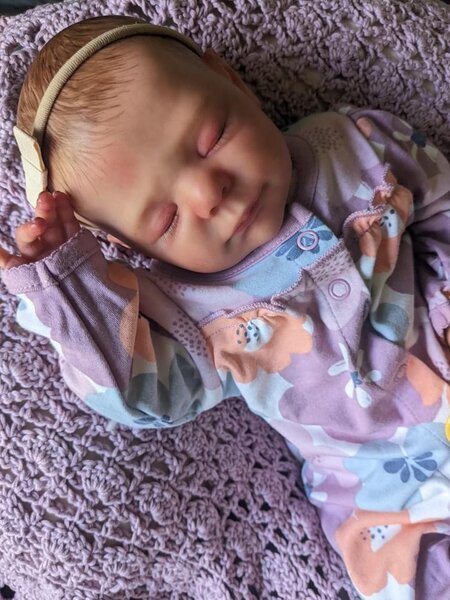 Elise by Sherry Akers from Colonial Home on Reborns