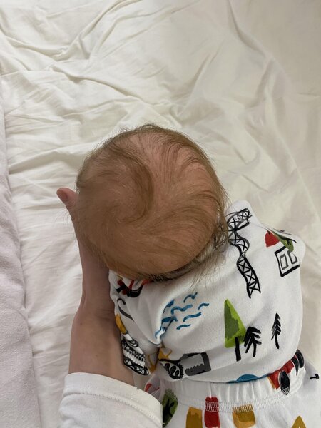 Leo by Pipi Ross from Pipi Ross on Reborns