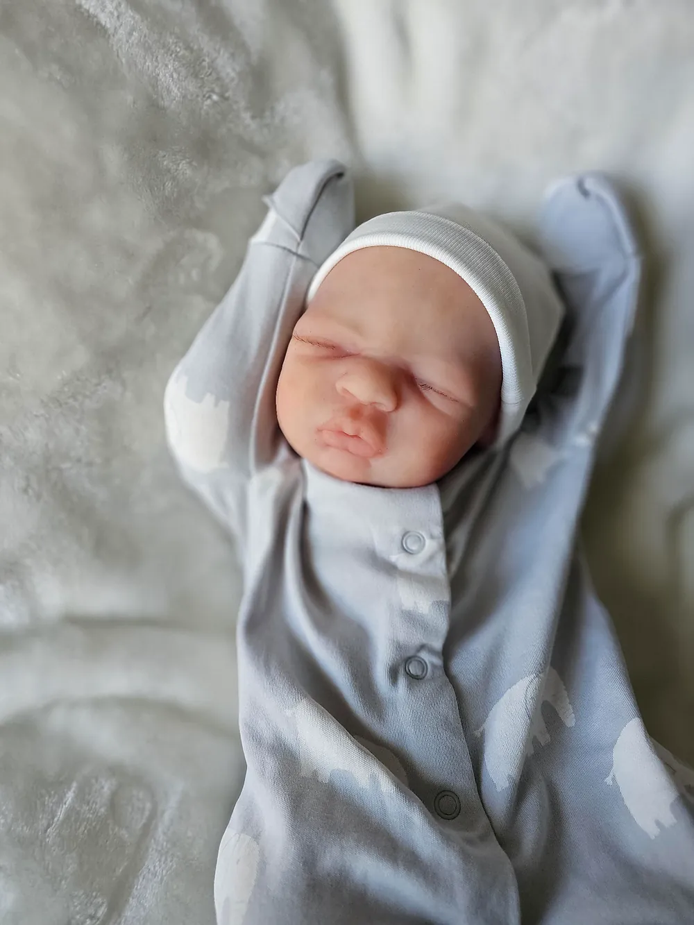 Silcone Phoenix by Autumn Olsen from Beany's Reborn Babies on Reborns