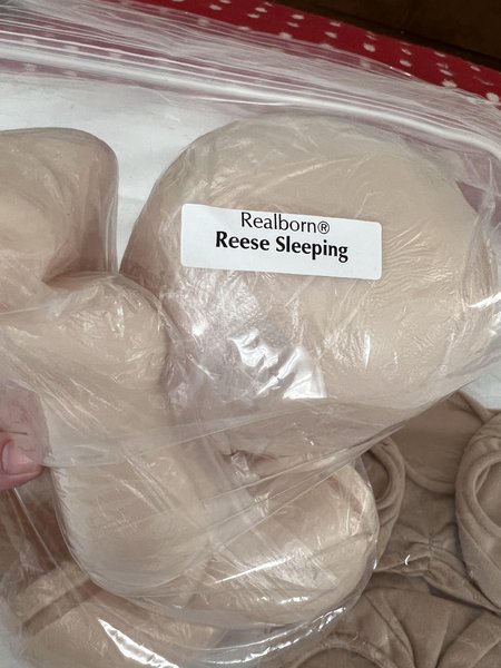 Reese Kit by Stephanie Kingston from DollyPalooza on Reborns