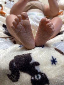 Melissa Stamps - Reborns and Reborn Baby Dolls
