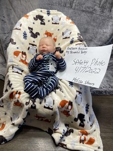 Melissa Stamps - Reborns and Reborn Baby Dolls