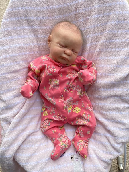 Melissa Stamps - Reborns and Reborn Baby Dolls