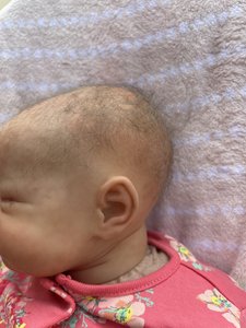 Melissa Stamps - Reborns and Reborn Baby Dolls