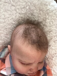 Melissa Stamps - Reborns and Reborn Baby Dolls