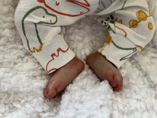 Melissa Stamps, Reborn Dolls For Sale | Melissa Stamps