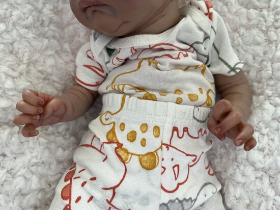 Melissa Stamps, Reborn Dolls For Sale | Melissa Stamps