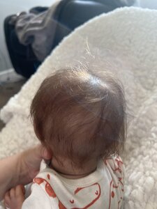 Melissa Stamps - Reborns and Reborn Baby Dolls