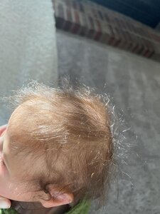 Melissa Stamps - Reborns and Reborn Baby Dolls